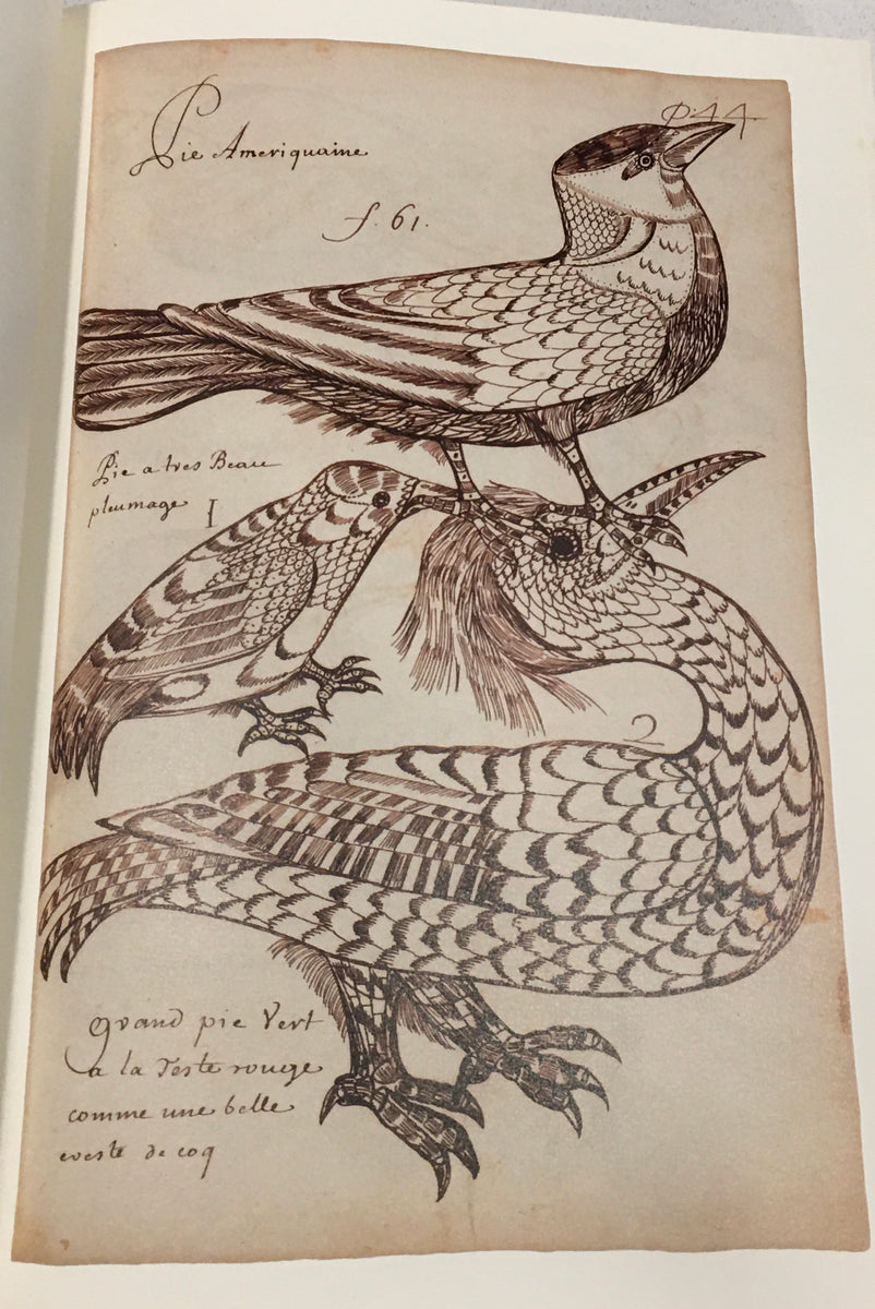 The Codex Canadensis and The Writings of Louis Nicolas: The Natural Hi ...